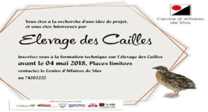 FORMATION: ELEVAGE DES CAILLES | Centre d'Affaires de Sfax
